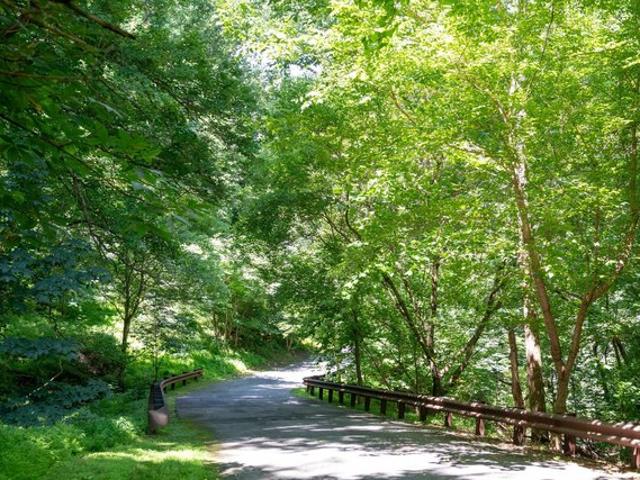 797 Charles James Cir, Ellicott City, MD 21043