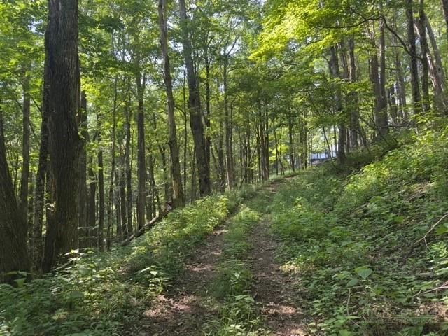 797 Goat Mountain Road