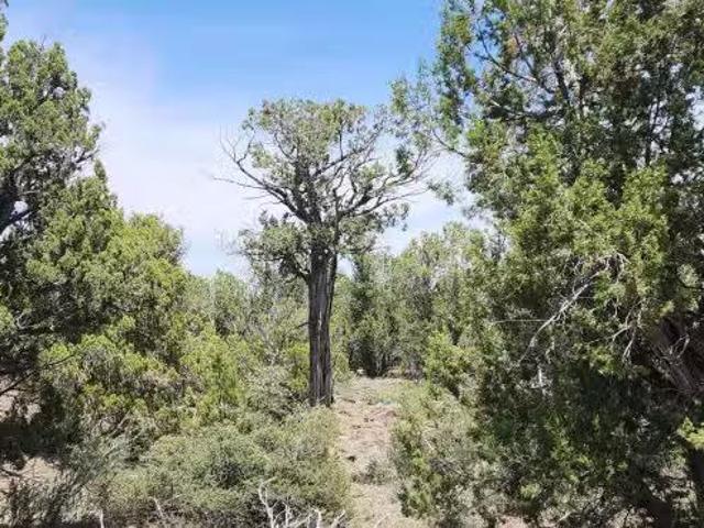 7980B Ancient Way, Seligman, AZ 86337 MLS 1072369