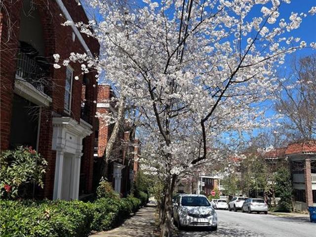 798 Frederica Street NE APT 3