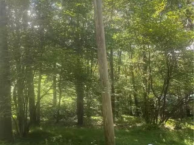 798 ZARMATT ROAD, JENNERSTOWN, PA 15547 Farm For Sale MLS# 16.