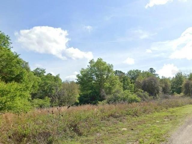 7995 N Walton Ter, Dunnellon, FL 34434