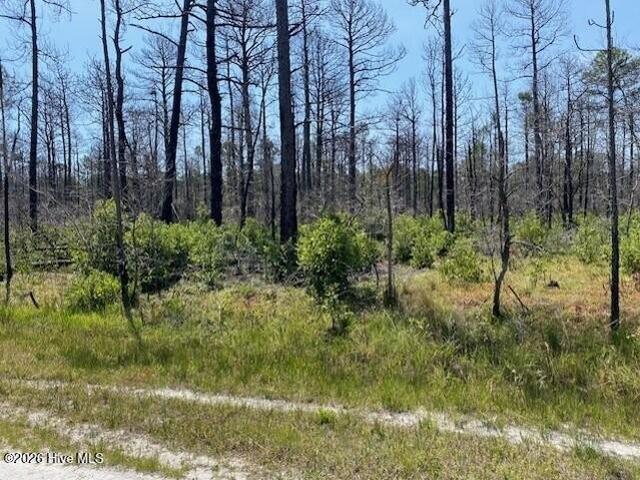 799 Jasmine Rd Lot 73, Boiling Spring Lakes, NC 28461