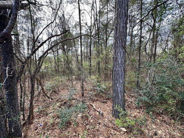 79 Wade Davis Rd Lot 1, Ellisville, MS 39437