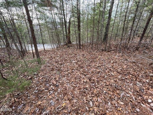 79 Whetstone Rd, Sevierville, TN 37862