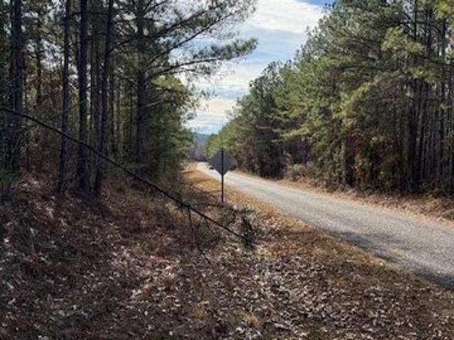 79 Wildlife Rd, Dadeville, AL 36853