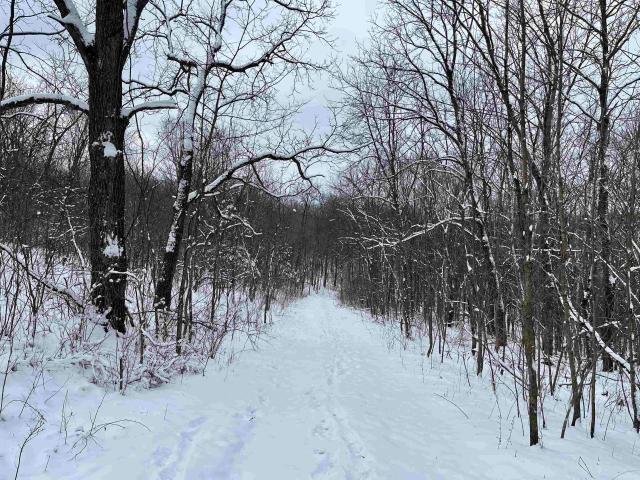 79 Acres, Byers Rd
