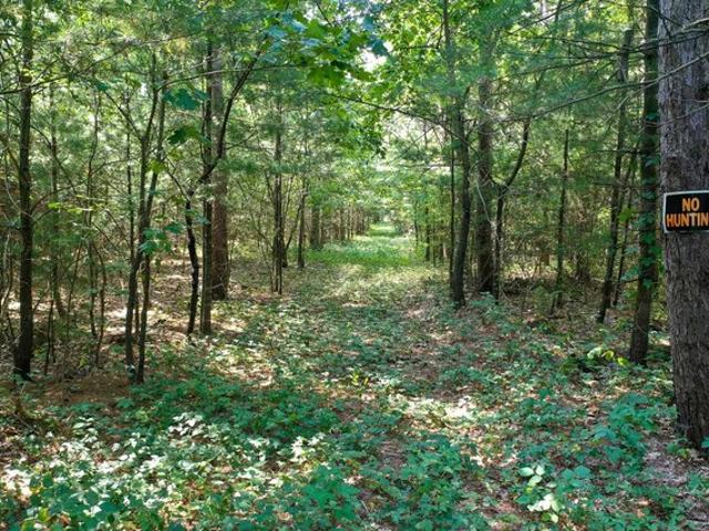 79 Highway 14, Spring Green, WI 53588