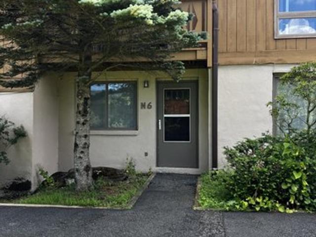 79 Hunter Dr Unit N6, Hunter, NY 12442