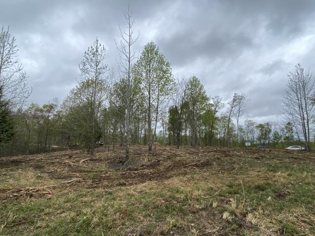 79 Overlook Trail