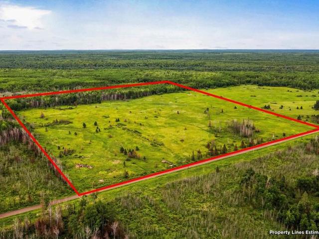 79XX Munger Shaw Rd, Canyon, MN 55717