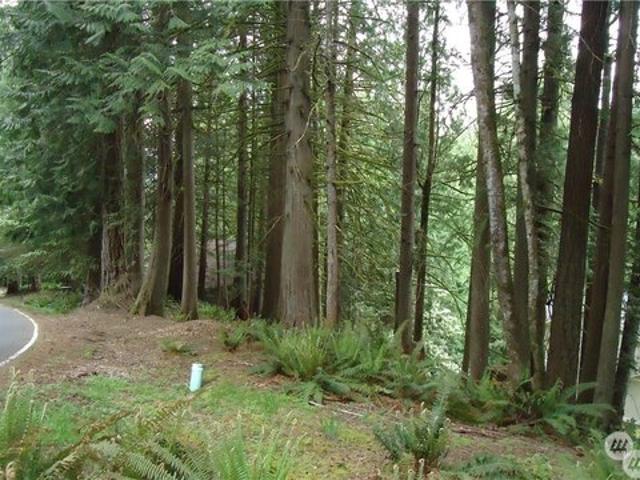 7 Maple 134 Ct Lot 133, Bellingham, WA 98229