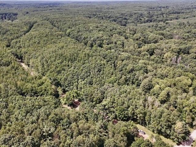 7 Mile Rd, Evart, MI 49631