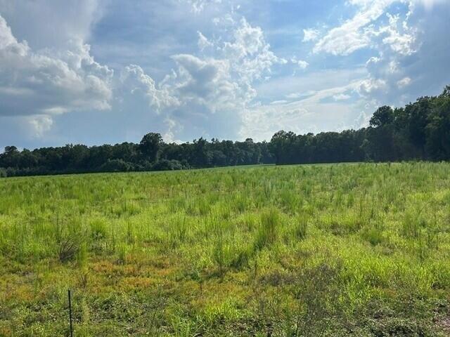 7 Mile Rd Lot 2, Harleyville, SC 29448