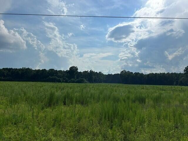 7 Mile Rd Lot 3, Harleyville, SC 29448