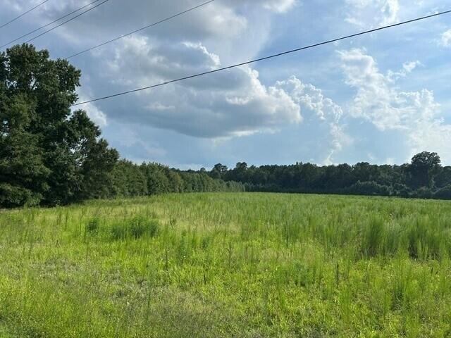 7 Mile Rd Lot 5, Harleyville, SC 29448