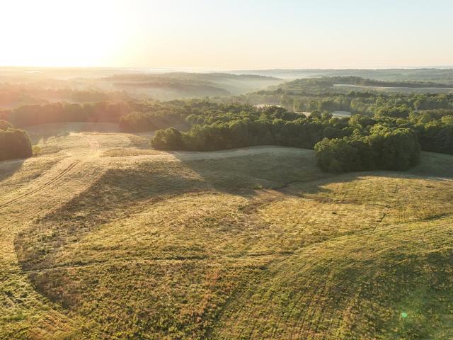 7 Mile Ridge Road