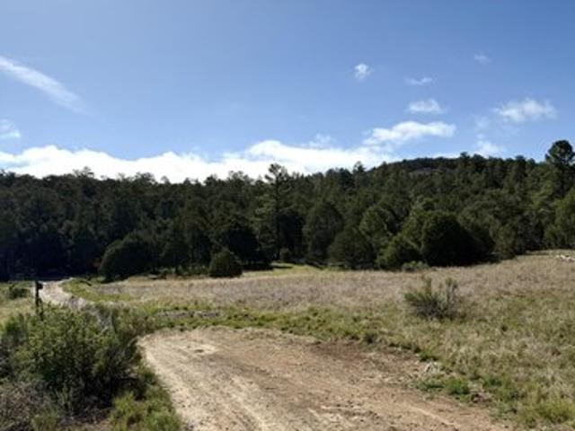 7 Moots Ct, Tijeras, NM 87059
