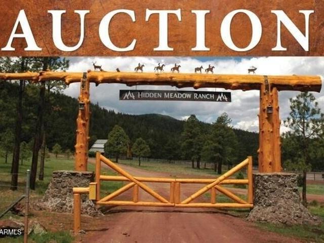 7 N County Road N1332 Unit 46, Greer, AZ 85927