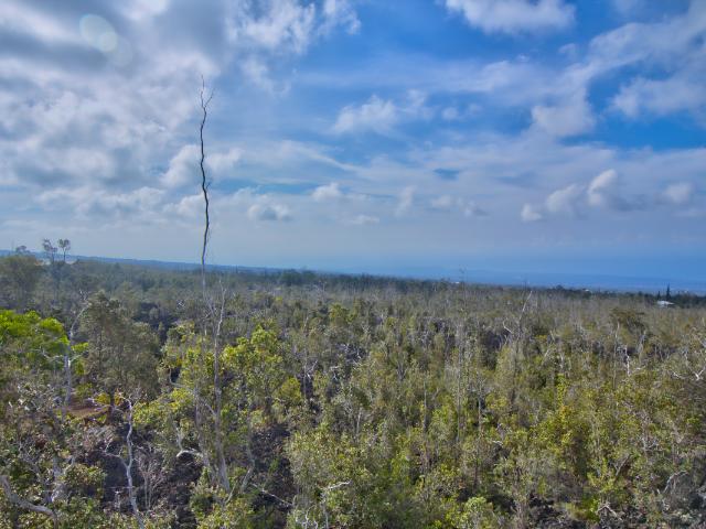 7 Ohia Dr, Ocean View, HI 96704 | MLS #729260 | Compass