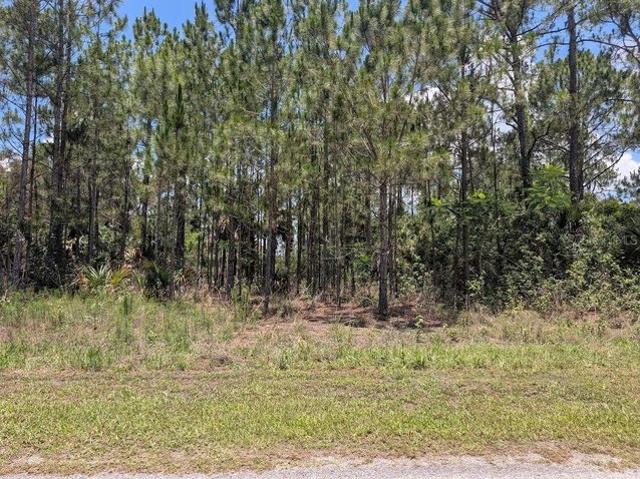 7 Avocado Dr, Indian Lake Estates, FL 33855