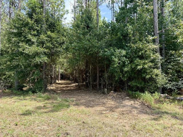 7 Acres N County Road 79