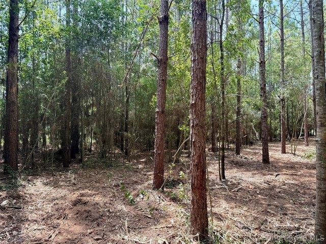 7 Acres N County Road 79, Samson, AL 36318