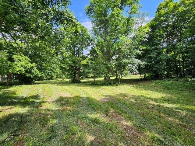 7 Acres Countyy Highway F, Birchwood, WI 54817