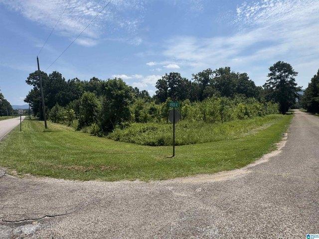 7 Acres Spencer Ave Lot 0, Piedmont, AL 36272