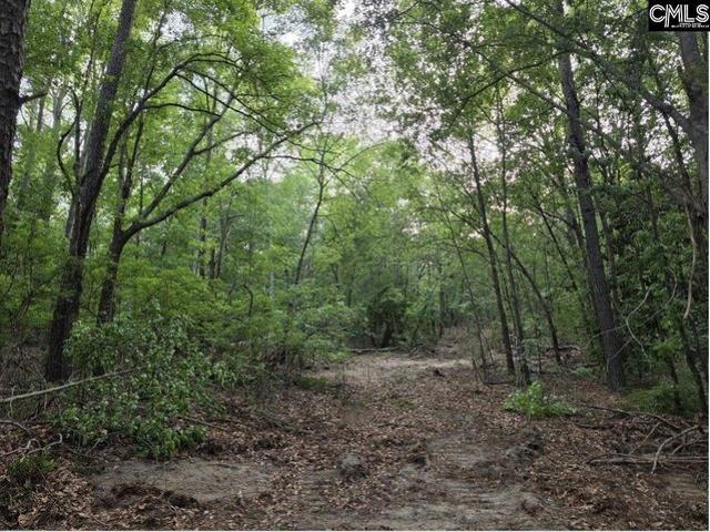 7 Acres Woodberry Ln, North Augusta, SC 29841