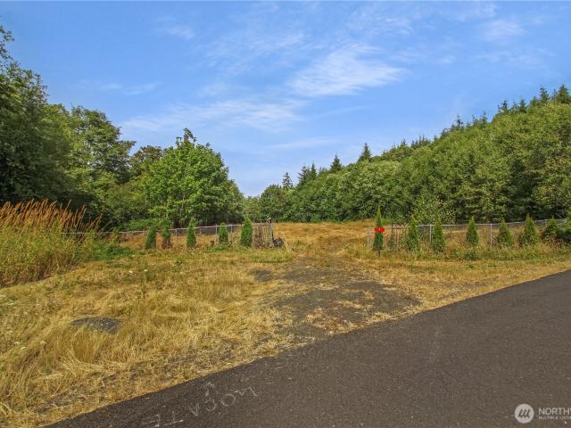 7 Alger Creek Heights, Cathlamet, WA 98612 | MLS #2415 | Compass