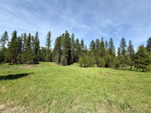 7 and Nhn Old Cottonwood Ln, Trout Creek, MT 59874