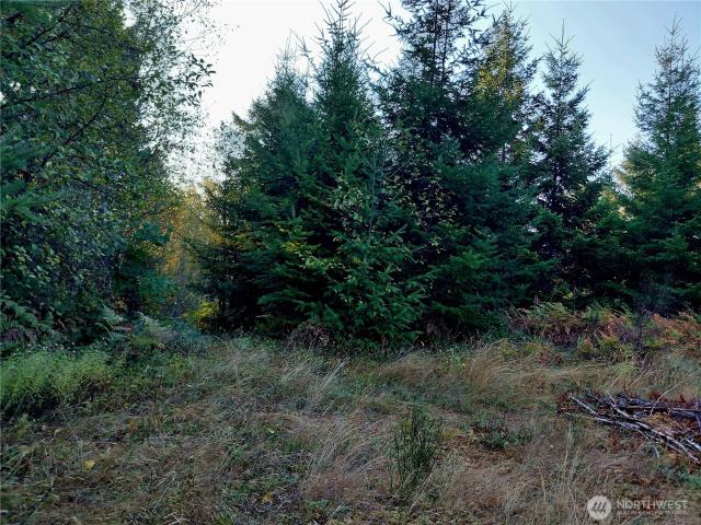 7 Buck Dr, Randle, WA 98377 | MLS #2441