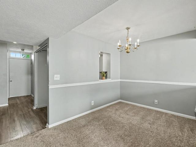 7 Byrd Trace