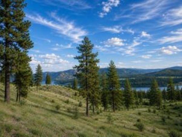 7 Ballard Ave, Kettle Falls, WA 99141