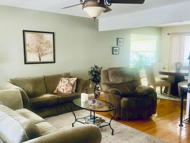 7 Basset Drive