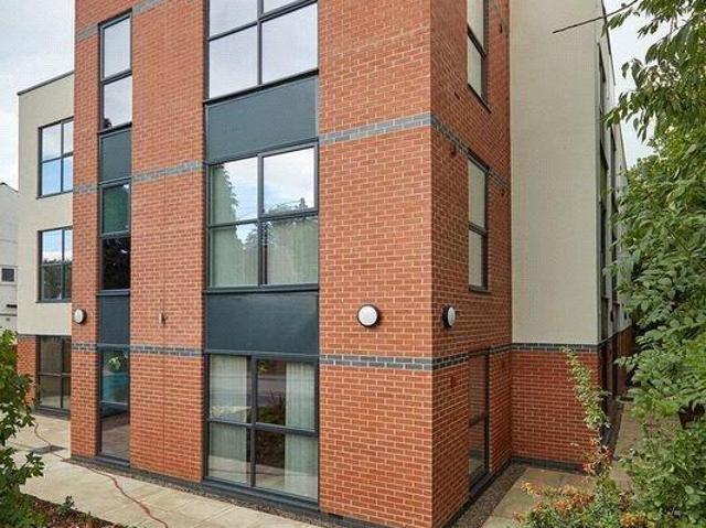 7 bedroom apartment to rent