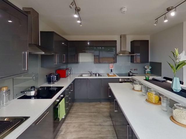 7 bedroom apartment to rent