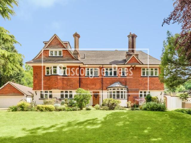 7 bedroom detached house to rent