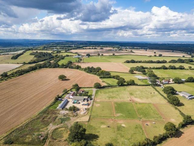 7 bedroom equestrian facility for sale