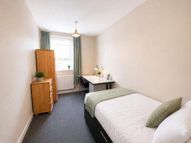 7 bedroom flat to rent