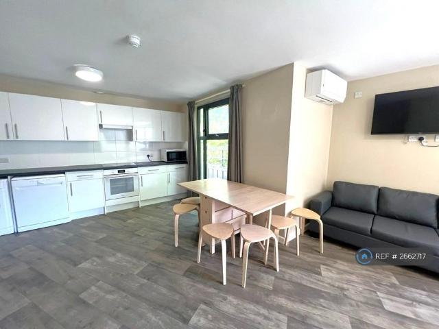 7 bedroom flat to rent