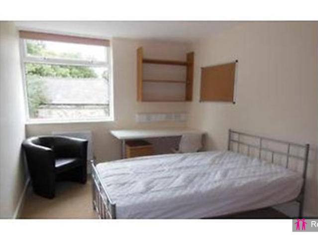 7 bedroom flat for rent