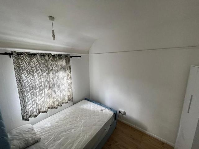 7 bedroom house share to rent