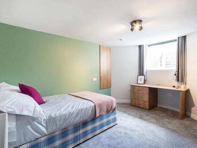 7 bedroom house to rent