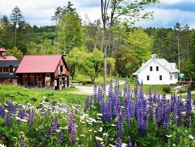 7 bedroom, Londonderry VT 05148 LS101749457