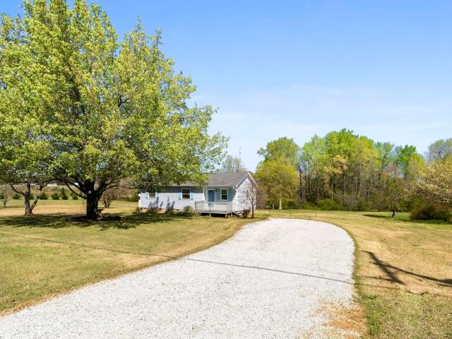 7 Belvue School Road