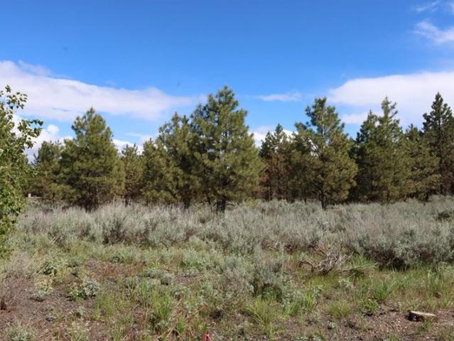 7 Bitterroot Ct, McCall, ID 83638