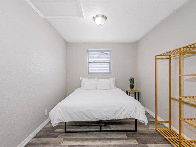 7 BR in Tampa