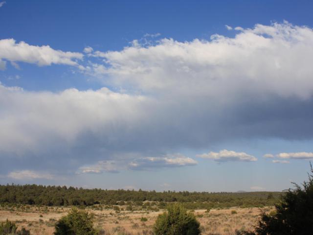 7 Branding Iron Road